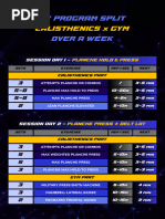 Calisthenics PPL | PDF