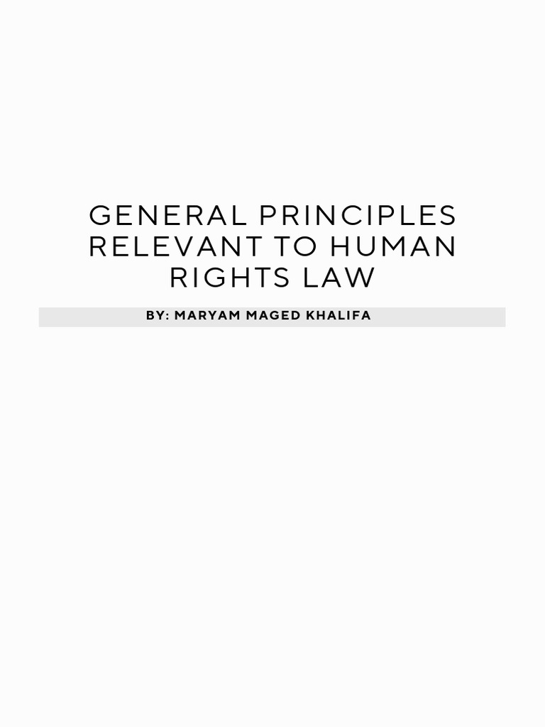 Key Principles of Human Rights Law | PDF