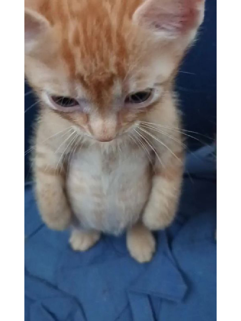 PDFReader 20250128 0006 | PDF