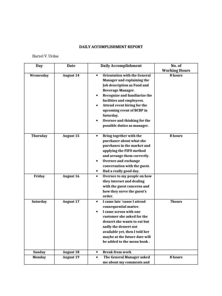 Daily Accomplishment Report 1 | PDF