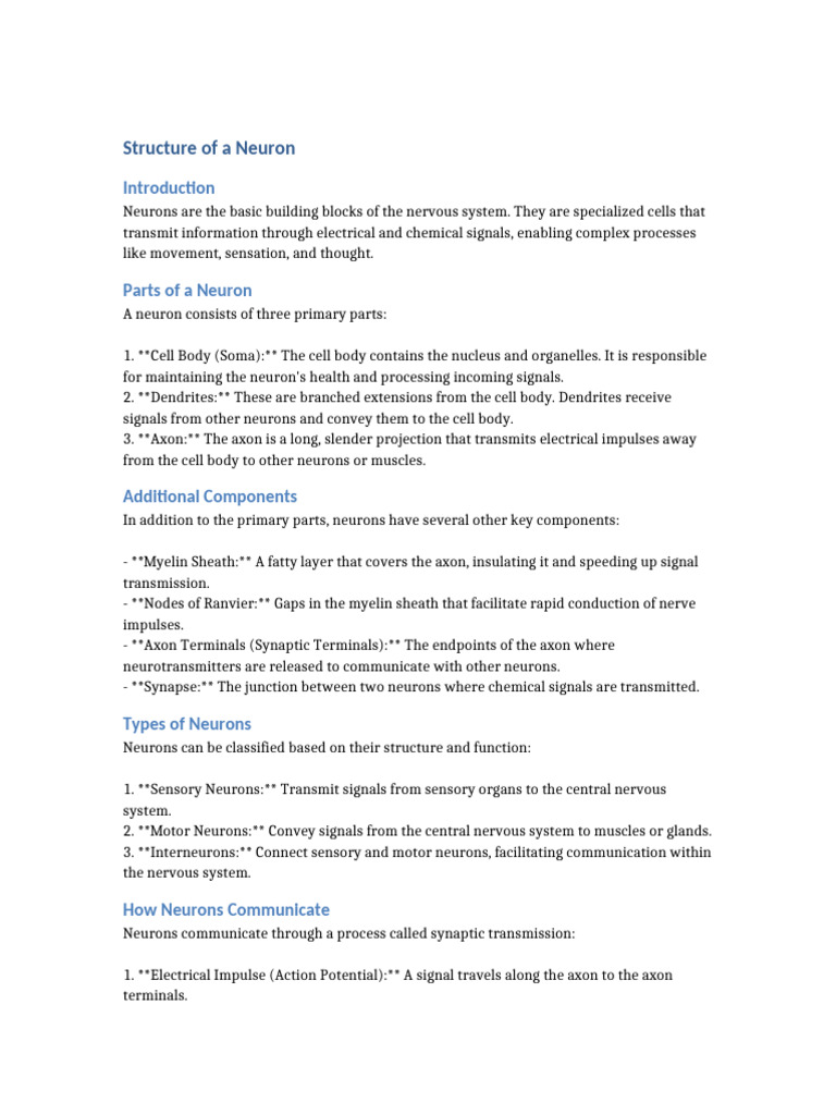 Structure of A Neuron Document | PDF | Neuron | Axon