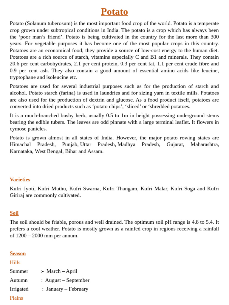 School Project On Potato | PDF | Potato | Foods