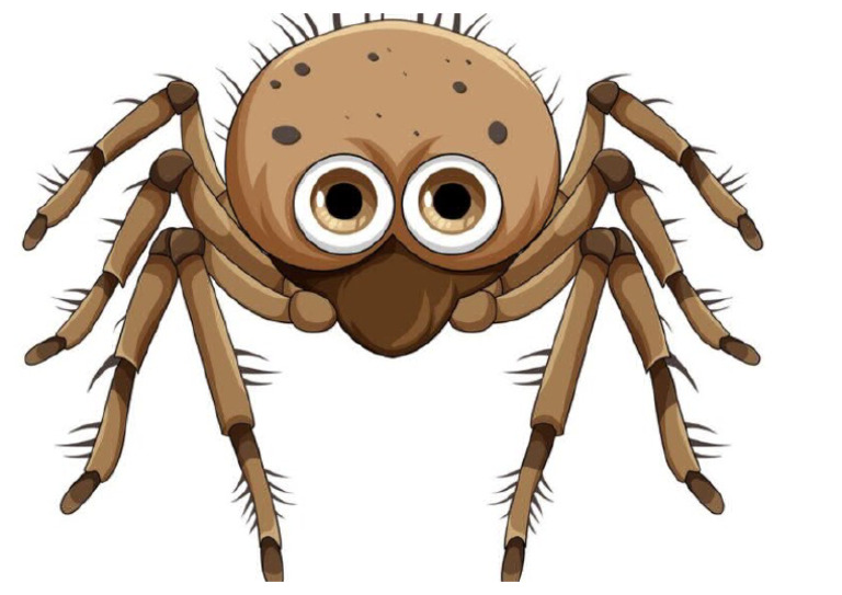 SPIDER School Project | PDF