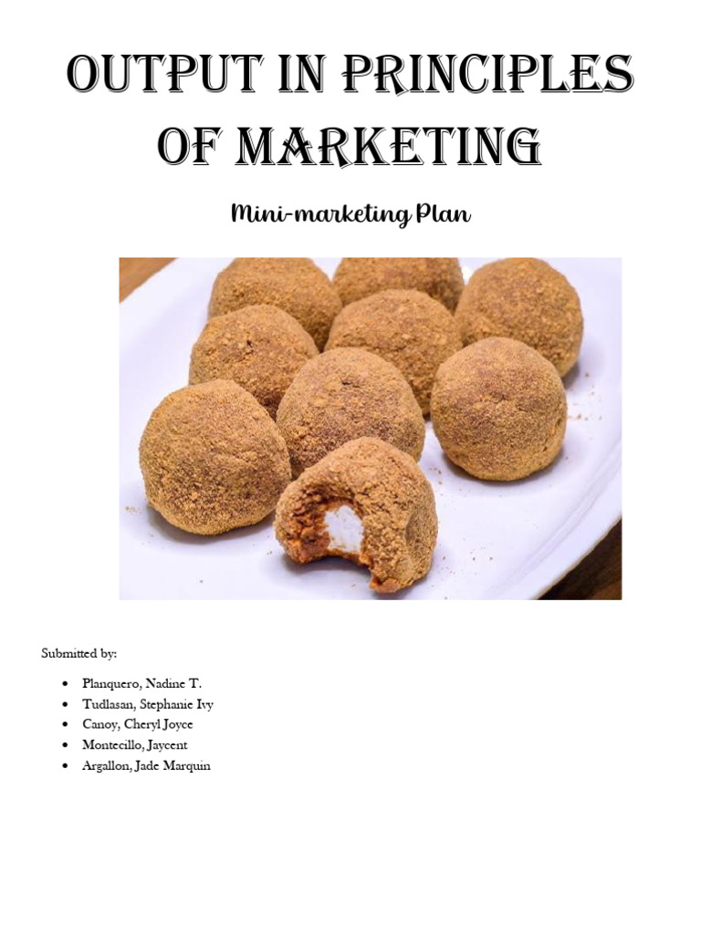 Mini-Marketing Plan | PDF | Marketing | Marketing Strategy