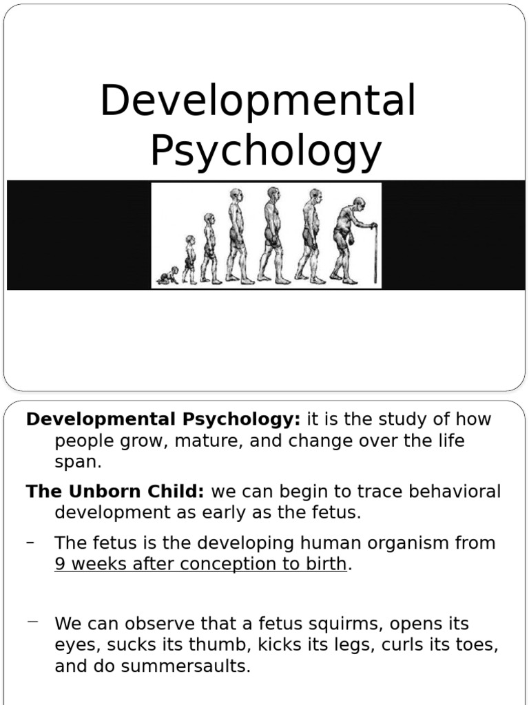 Developmental Psychology 2019 | PDF | Attention Deficit Hyperactivity ...