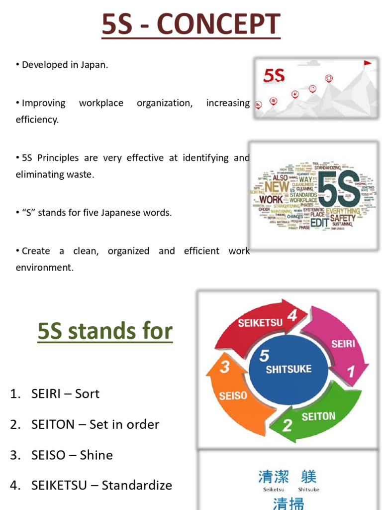 5 S Concepts | PDF