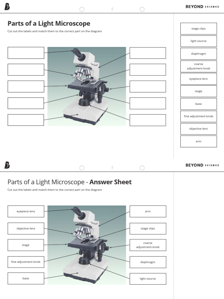Parts-of-a-Light-Microscope-Cut-and-Stick-Worksheet | PDF