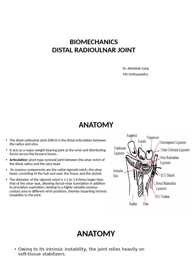 Distal Radioulnar Joint Biomechanics | PDF | Musculoskeletal System ...