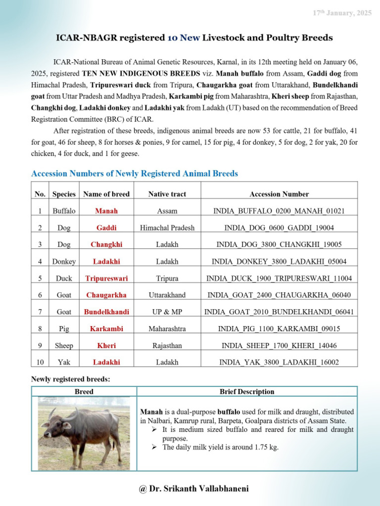 10 New Breeds Nbagr 2025 | PDF