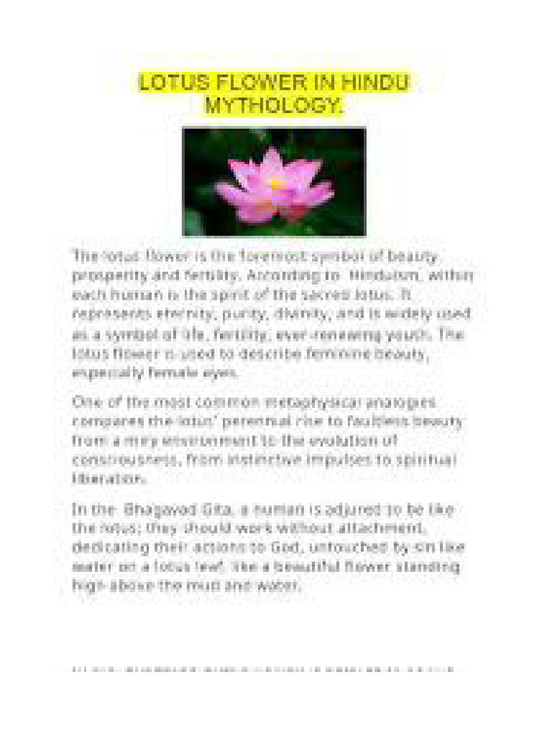 Lotus Essay | PDF