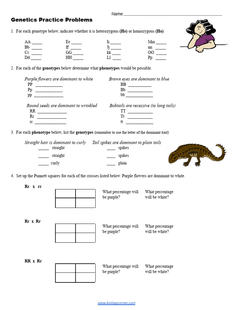 Practice - Simple Genetics | PDF | Zygosity | Genotype