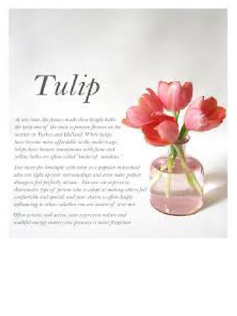 Tulip Essay | PDF