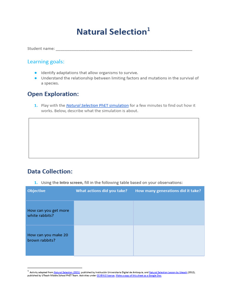 Activity Sheet Natural Selection | PDF | Natural Selection | Simulation