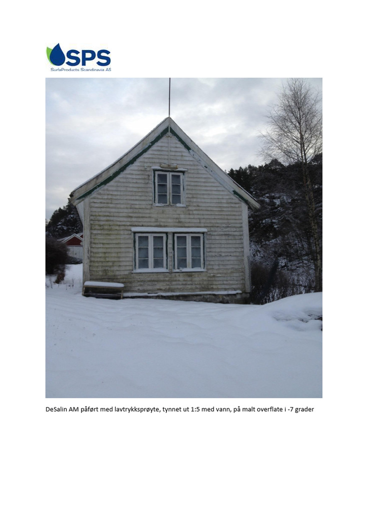 DeSalin AM Rapport - Norway | PDF