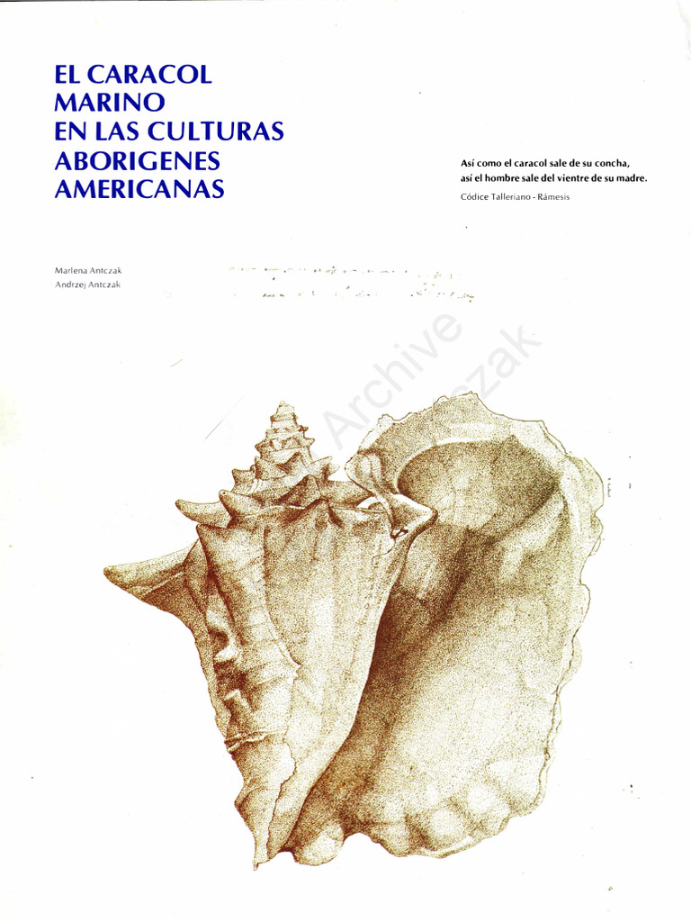 Caracol Marino en Culturas Aborígenes | PDF | Carne | Venezuela