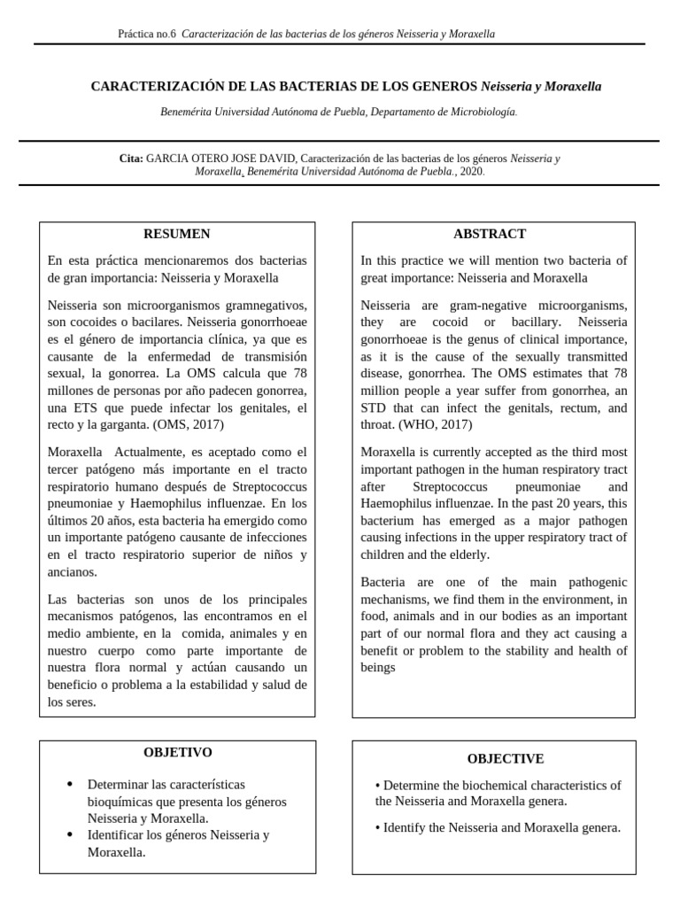 Practica 6 Bacter 1 | PDF | Inmunología | Las bacterias