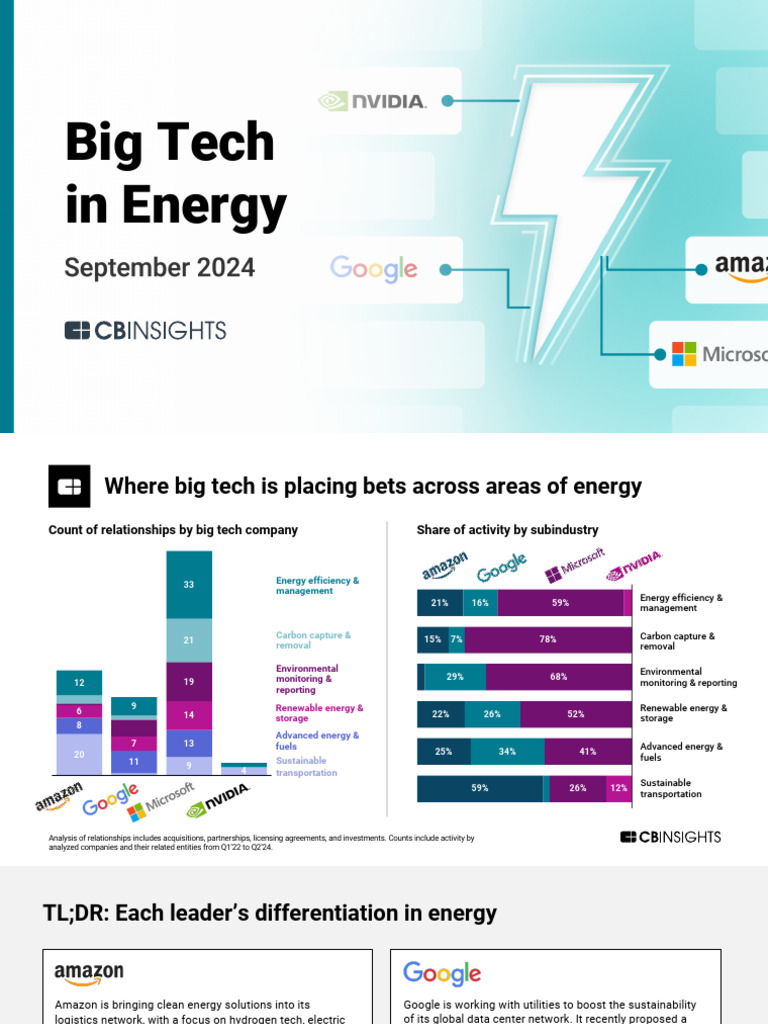 Big Tech's Energy Investments 2022-2024 | PDF | Renewable Energy ...