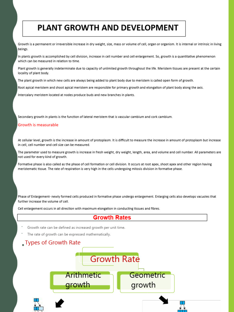 Understanding Plant Growth Dynamics | PDF | Plant Hormone | Auxin