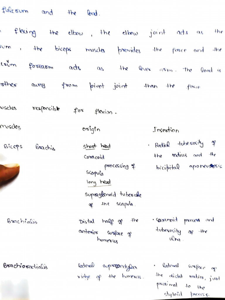 Elbow Muscles Pdf Musculoskeletal System Human Anatomy