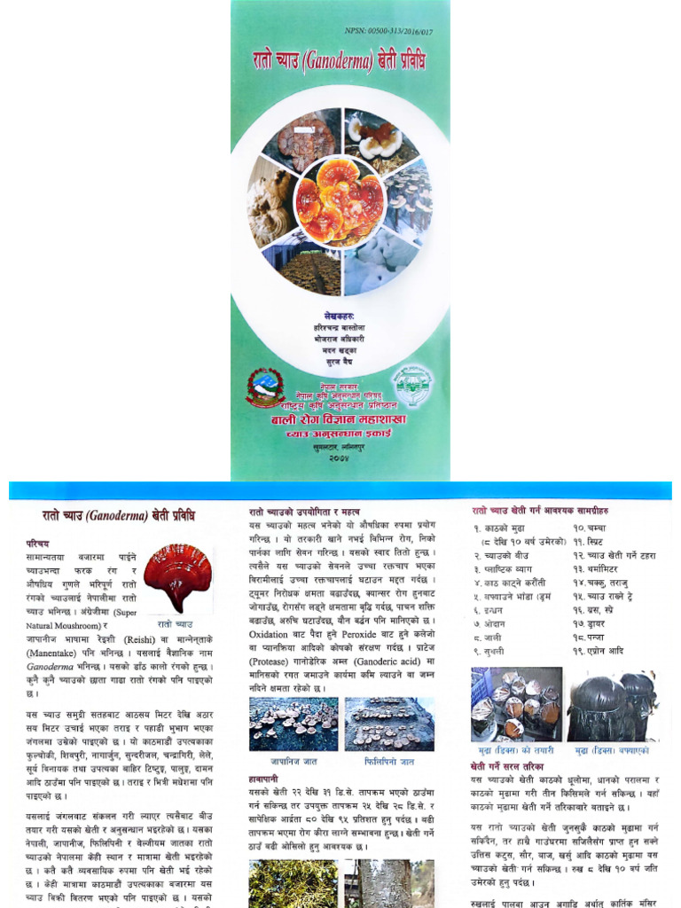Ganoderma Production Technology Leaflet | PDF