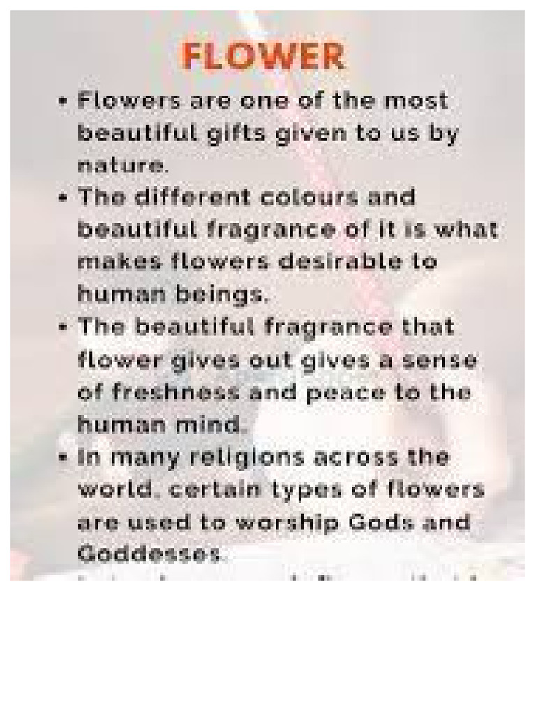 Flowers Essay | PDF