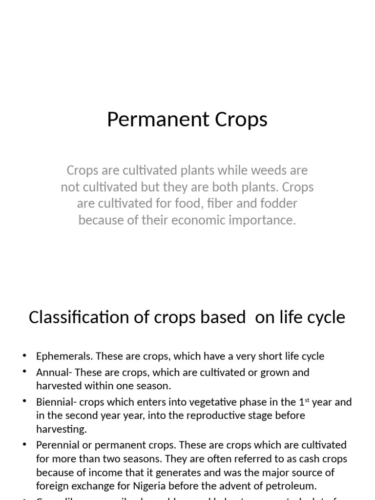 AGY309Permanent Crops powerpoint | PDF | Coconut | Arecaceae