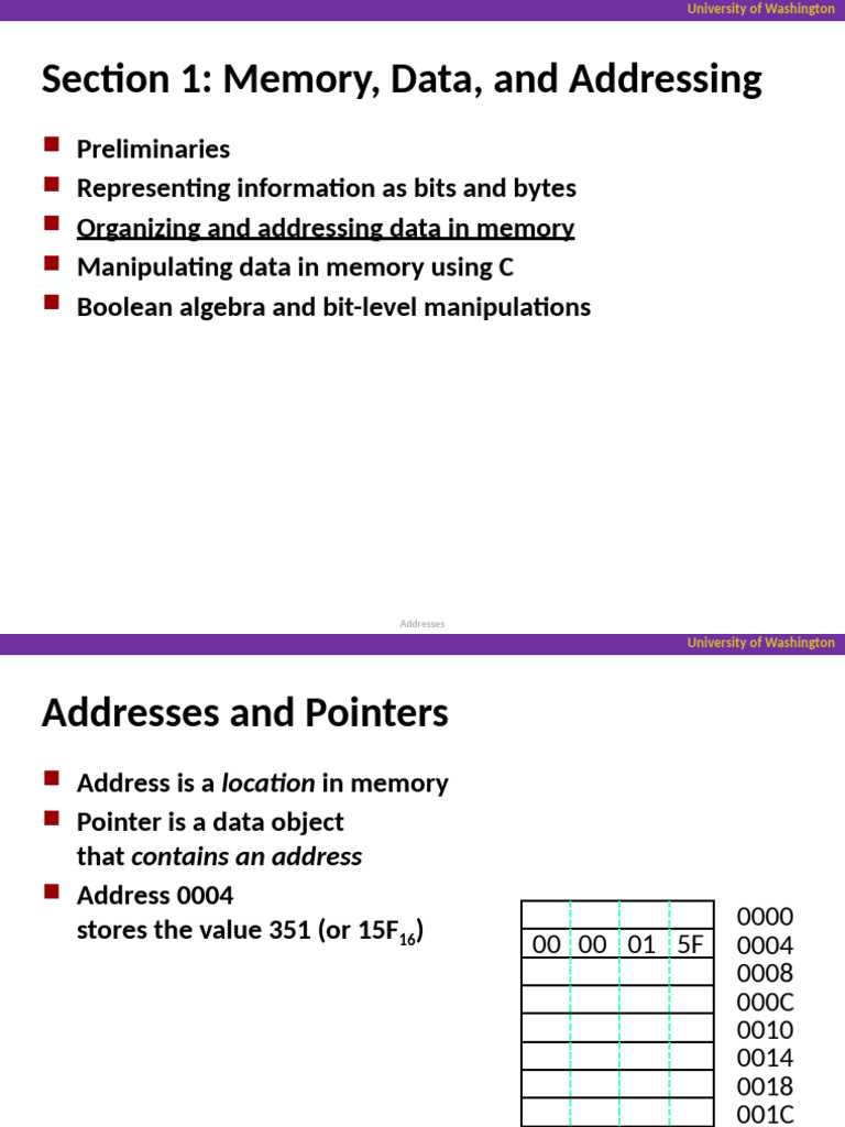 Lecture Slides 01 013-Addresses | PDF | Integer (Computer Science) | Pointer (Computer Programming)