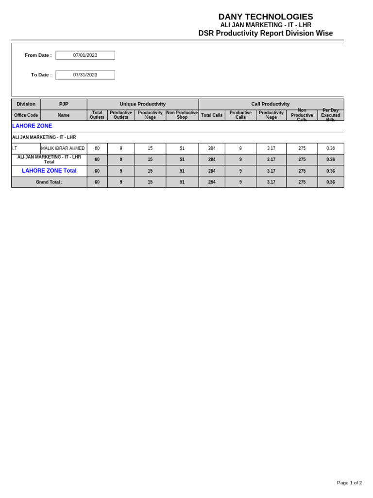 DSR Productivity Report Division Wise | PDF
