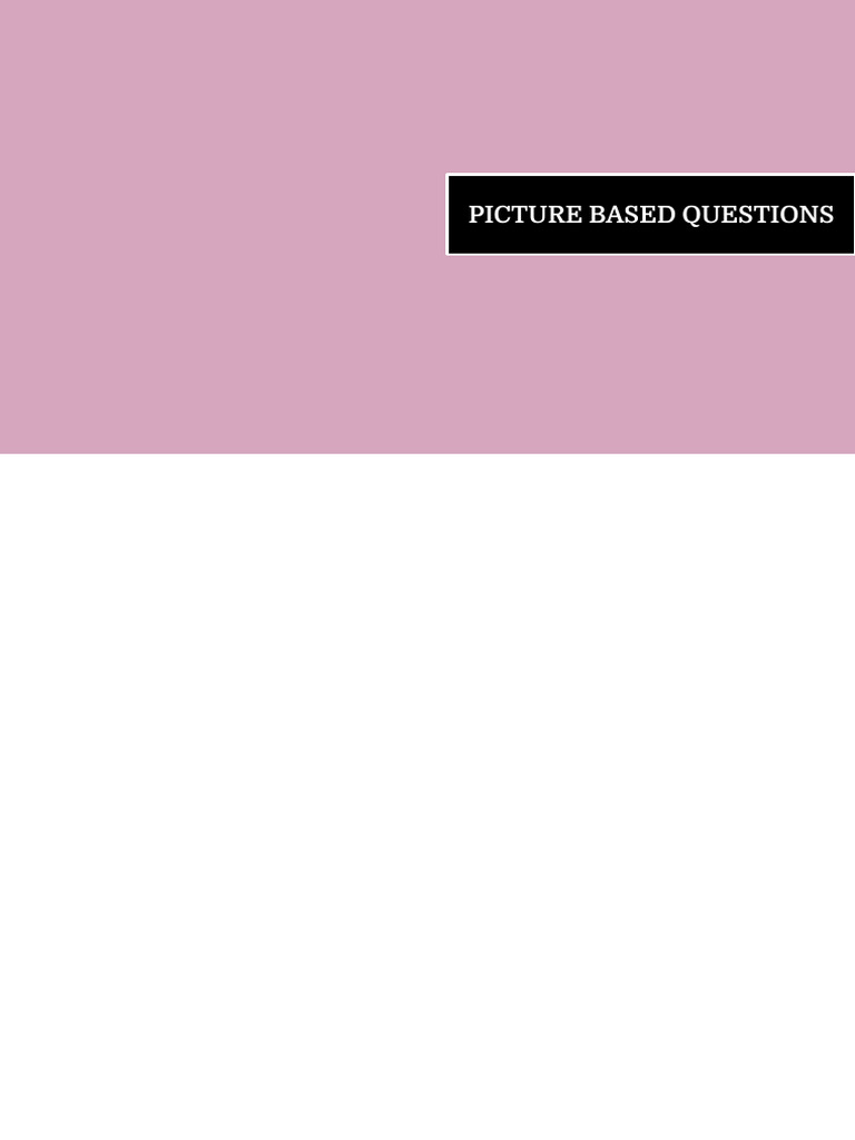 Picture-Based Questions for Social Science | PDF | Democracy ...