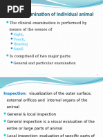 Clinical Examination of Companion Animals | PDF | Physical Examination ...