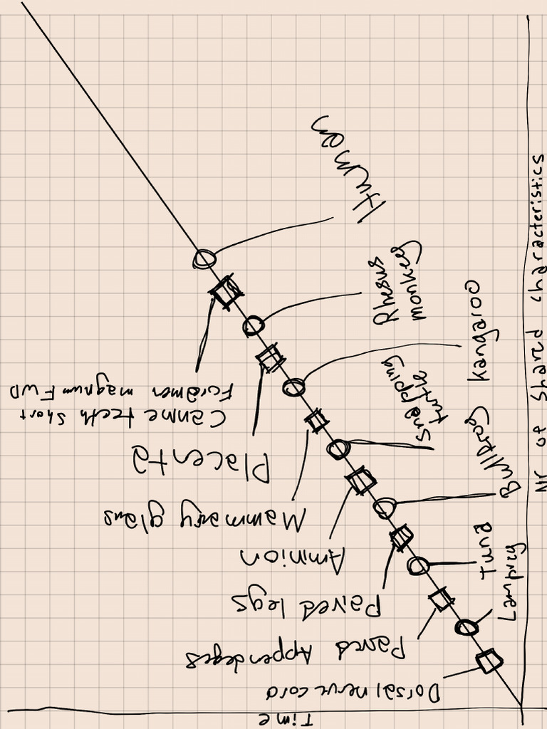 notes cladogram | PDF