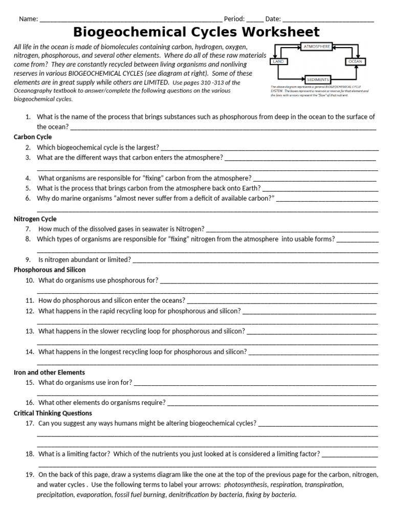 biogeochemical_cycles_worksheet | PDF | Oceans | Environmental Engineering