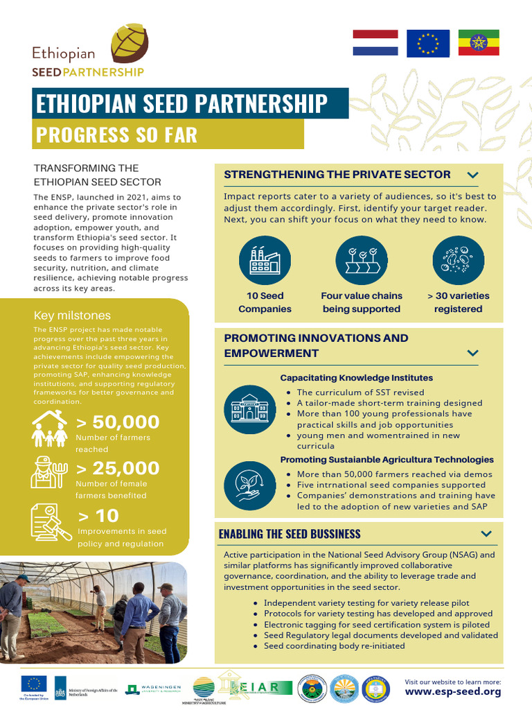 Transforming Ethiopia's Seed Sector | PDF | Ethiopia | Governance