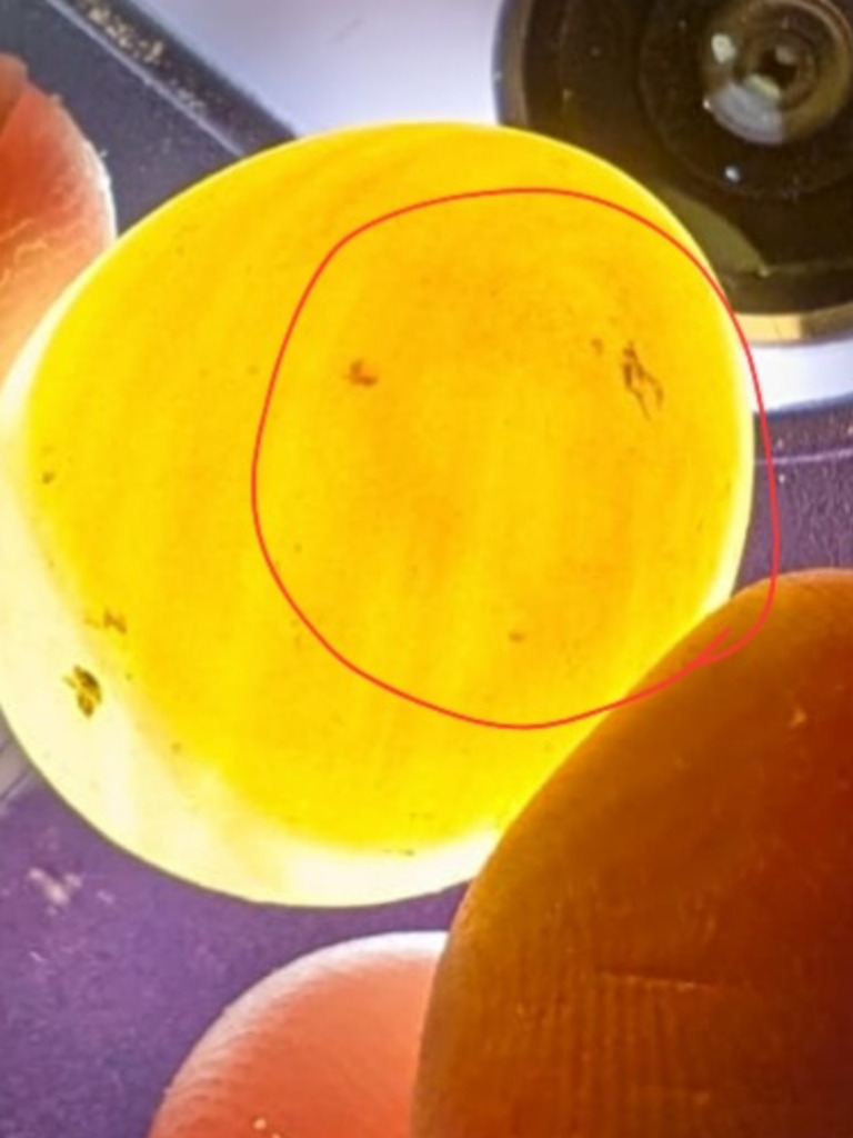 Egg 3 | PDF