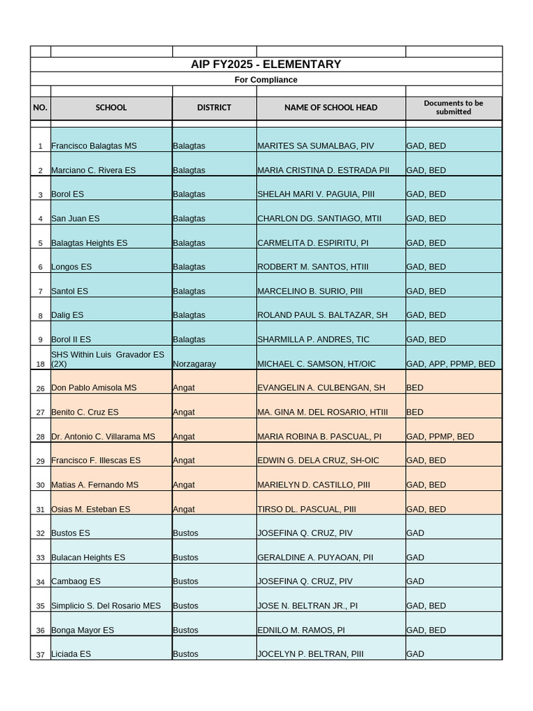 Aip Fy2025 Elem | PDF
