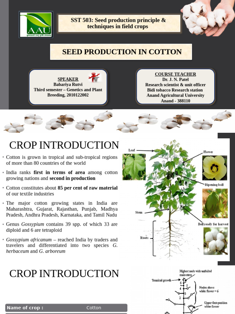 Cotton Breeding | PDF | Plants | Botany