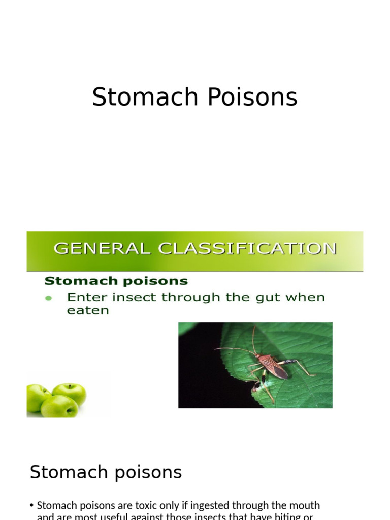 Overview of Stomach Poisons in Insecticides | PDF