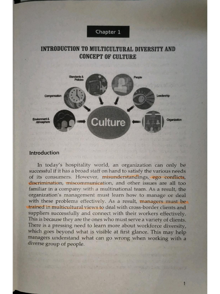 Introduction To Multicultural Diversity and Concept of Culture | PDF