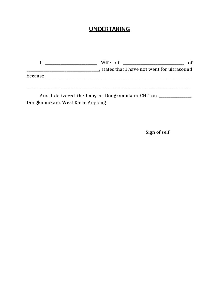 Undertaking | PDF