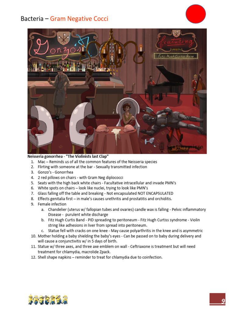 Medical Students' Guide to Gonorrhea | PDF