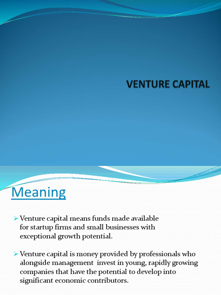Understanding Venture Capital Basics | PDF | Corporate Finance ...