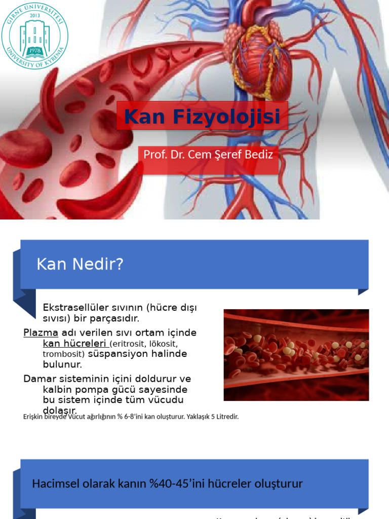 BESGirneKan 2023-11-27 | PDF