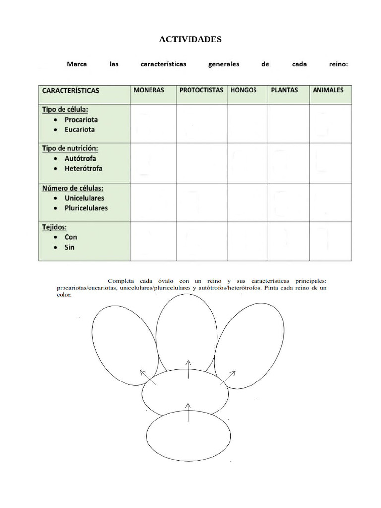 ACTIVIDAD CINCO REINOS | PDF