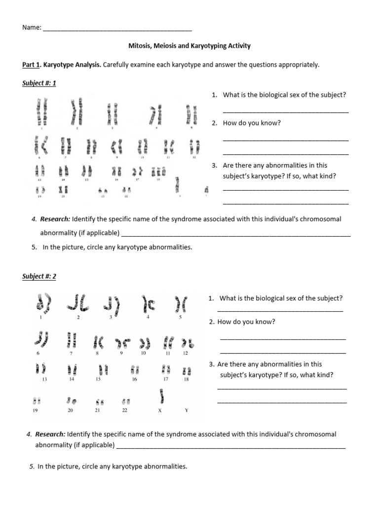 Karyotype Analysis and Chromosome Study | PDF | Karyotype | Ploidy