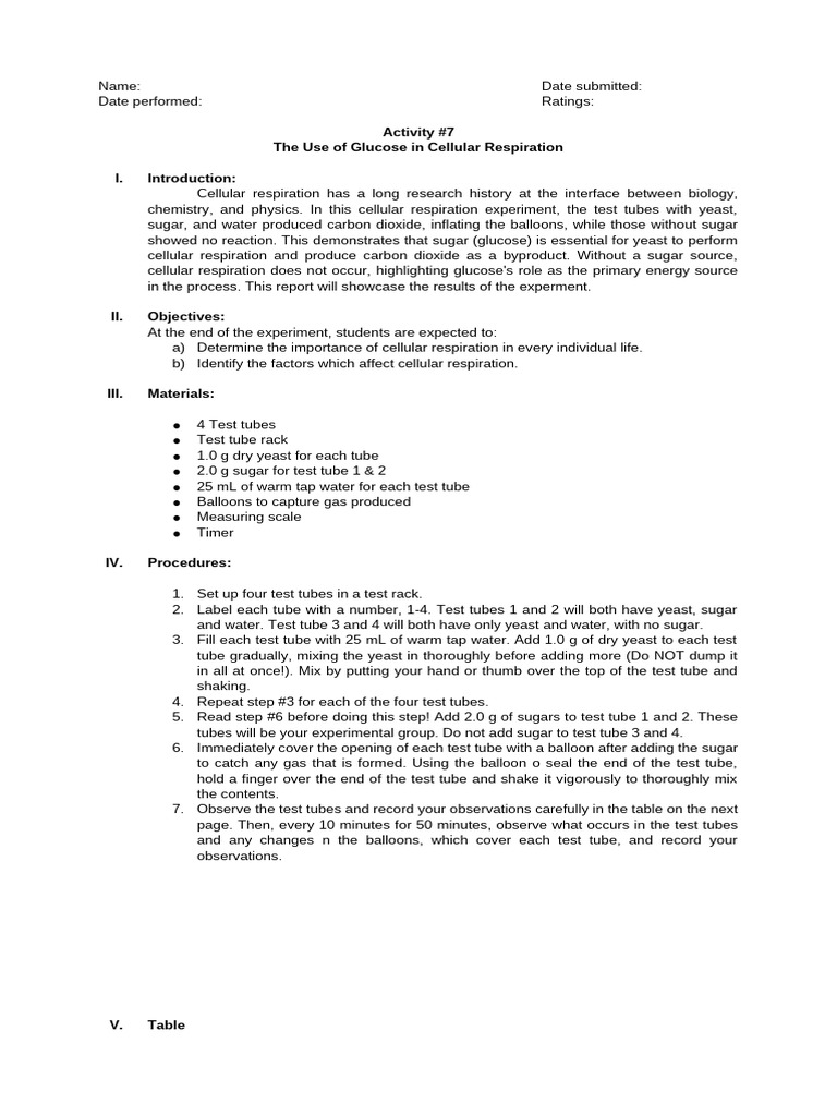 Yeast Cellular Respiration Experiment | PDF | Cellular Respiration | Yeast