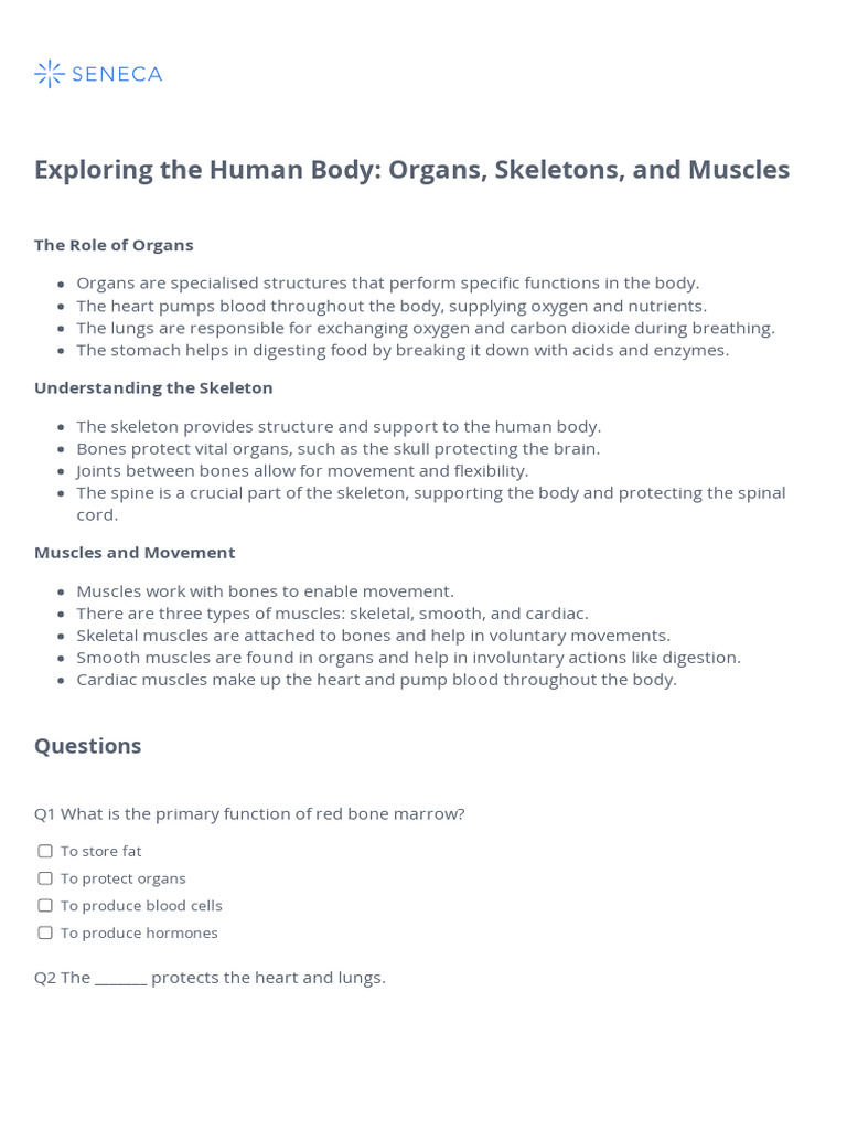 Exploring The Human Body Organs Skeletons and Muscles | PDF