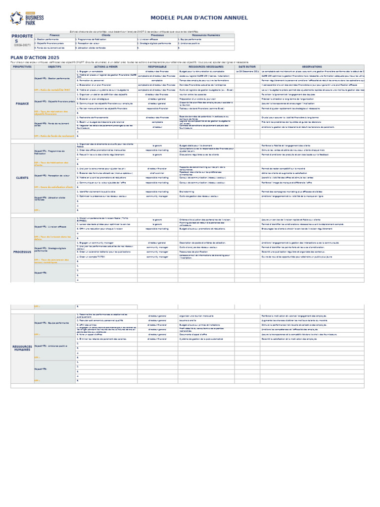 Modèle de Plan d'Action Annuel 2025 | PDF | Commercialisation | Consultant