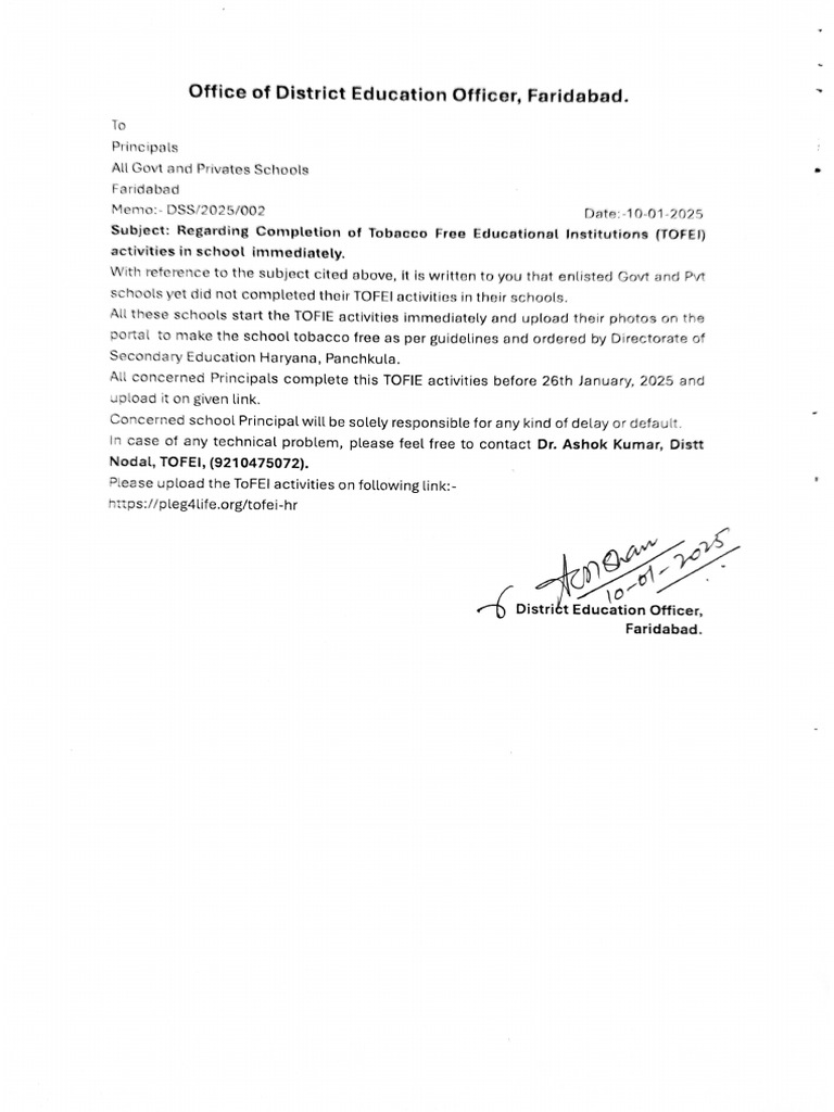 ToFEI activities description | PDF