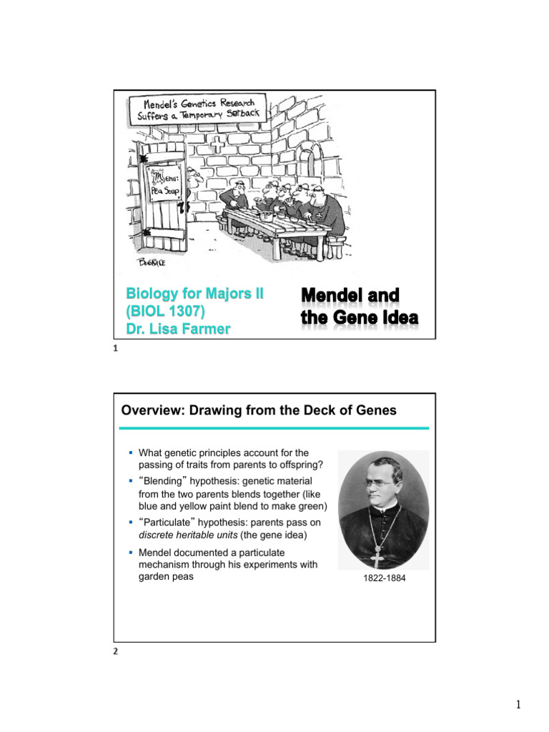 Lecture 4_Mendel and the Gene Idea_Part 1 | PDF | Dominance (Genetics) | Zygosity