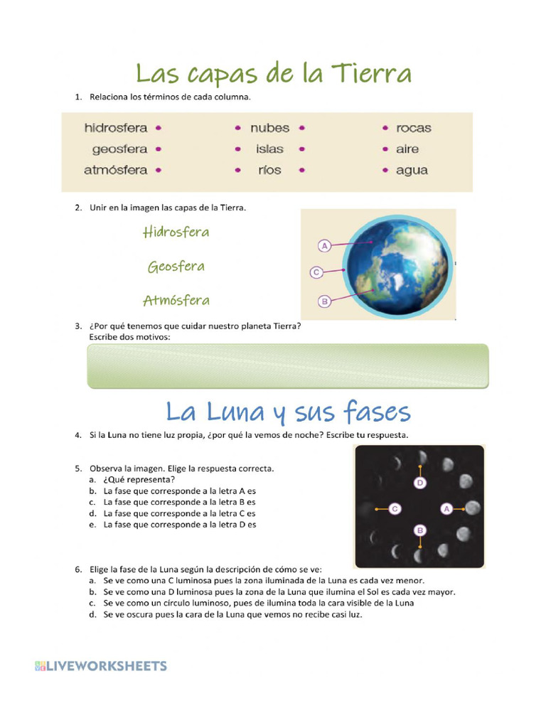 Worksheet 156561 | PDF